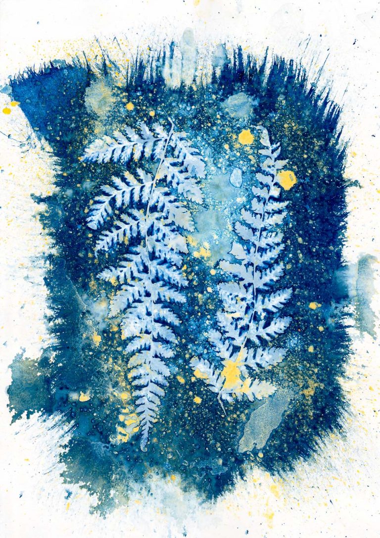 How I Make Cyanotypes • Alan O'Brien Photography